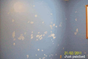 GIF interrogator - animated GIF on GIFER