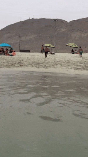 These are for you GIF - Find on GIFER