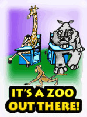 GIF zoo - animated GIF on GIFER