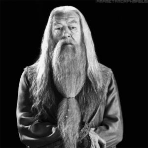 GIF dumbledore - animated GIF on GIFER