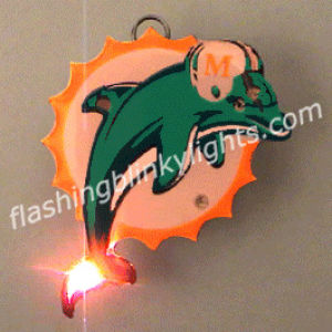 GIF miami dolphins - animated GIF on GIFER