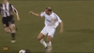 GIF zinedine zidane - animated GIF on GIFER