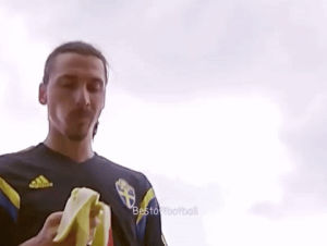 GIF zlatan ibrahimovic - animated GIF on GIFER