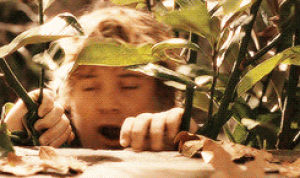 The lord of the rings sam lord of the rings GIF - Find on GIFER