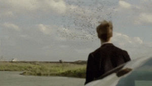 Flashback GIF - Find on GIFER