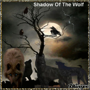 GIF shadow of the colossus - animated GIF on GIFER