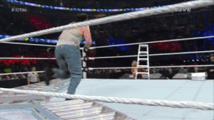 Гифка wwe tlc гиф картинка, скачать анимированный gif на GIFER от Madora