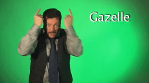 GIF sign with robert sign language stop - animated GIF on GIFER