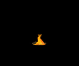 GIF effect - animated GIF on GIFER