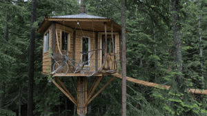 The cabin in the woods GIF - Find on GIFER