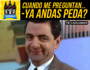 GIF borrachos scarry cerveza - animated GIF on GIFER