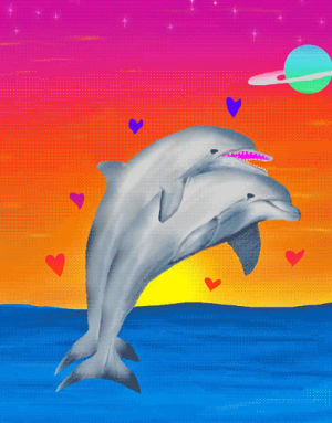 GIF miami dolphins - animated GIF on GIFER