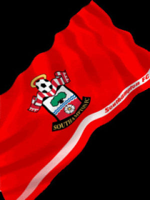 GIF southampton fc - animated GIF on GIFER