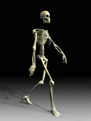 GIF dancing skeleton - animated GIF on GIFER