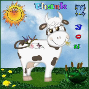 GIF thank you - animated GIF on GIFER