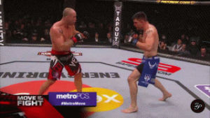 GIF mma ufc - animated GIF on GIFER