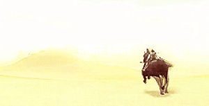 GIF shadow of the colossus - animated GIF on GIFER