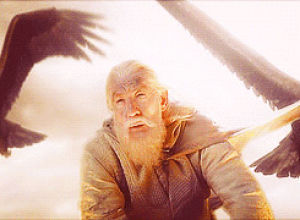 Return of the king GIF - Find on GIFER