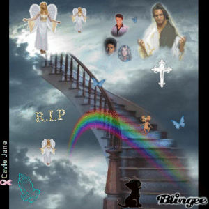 GIF rest in peace - animated GIF on GIFER