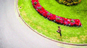 The eleventh hour GIF - Find on GIFER