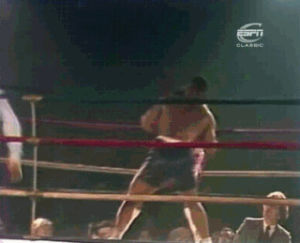 Tyson GIF - Find on GIFER