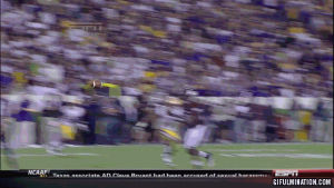 Lsu GIF - Find on GIFER