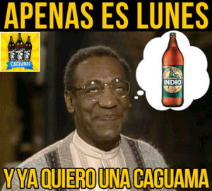 Cerveza borrachos chela GIF - Find on GIFER