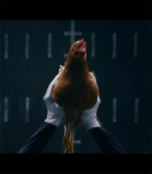 Chicken chicken in sneakers sneakers GIF on GIFER - by Kekelv