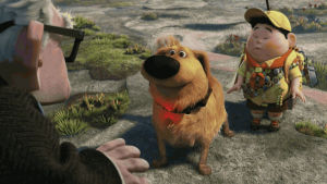 Up pixar dog GIF - Find on GIFER