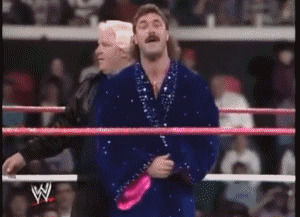 GIF macho man randy savage randy savage macho man - animated GIF on GIFER