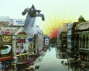 GIF monty python - animated GIF on GIFER
