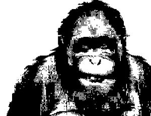 GIF max capacity - animated GIF on GIFER