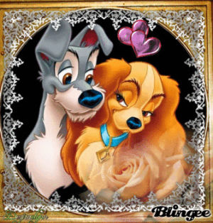 Lady and the tramp GIF - Find on GIFER