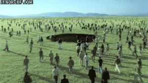 Sheeple GIF - Find on GIFER