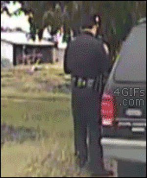 GIF traffic cop - animated GIF on GIFER