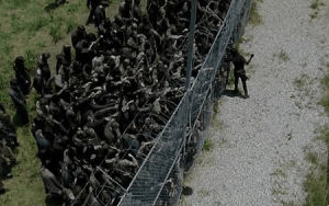 GIF everyone round join - animated GIF on GIFER