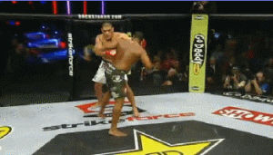 GIF mma ufc - animated GIF on GIFER