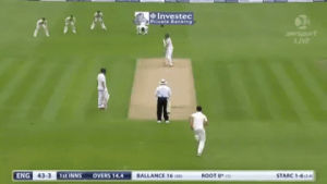 Cricket GIF - Find on GIFER
