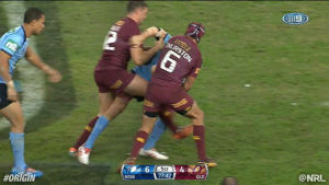 GIF blues new south wales nrl - animated GIF on GIFER