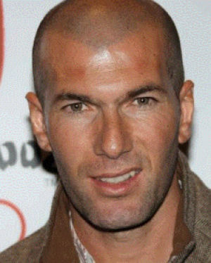 GIF zinedine zidane - animated GIF on GIFER