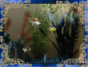 GIF view fish interesting - animated GIF on GIFER