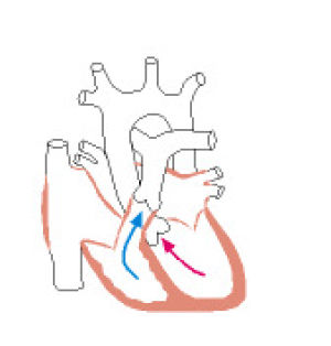 GIF the normal heart - animated GIF on GIFER