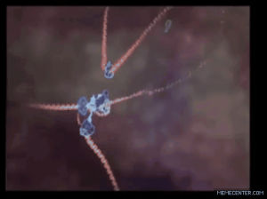 Dna GIF - Find on GIFER