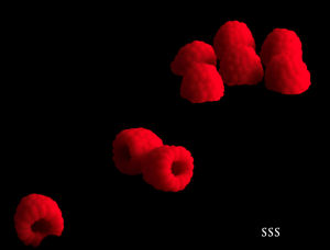 Raspberry GIF - Find on GIFER