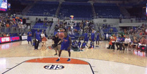 Florida gators floridagators GIF - Find on GIFER