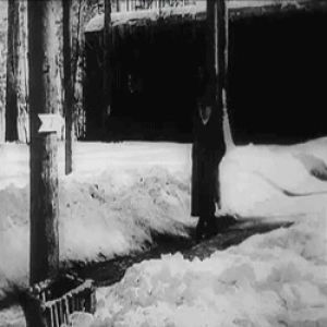 Hitler adolf hitler GIF - Find on GIFER