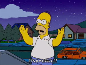 Episode 16 homer GIF - Find on GIFER