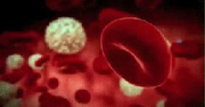 GIF blood - animated GIF on GIFER