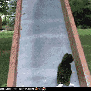 GIF finish line - animated GIF on GIFER