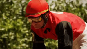 GIF horse racing kentucky derby horses - animated GIF on GIFER - by Nawyn